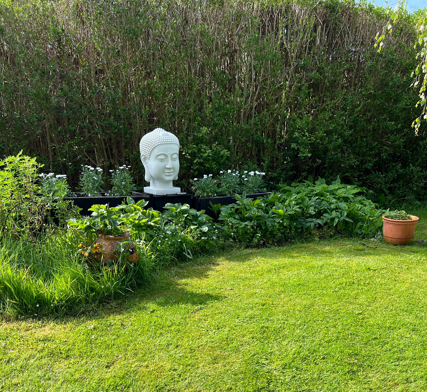 A Welcome Treat – Vikings Retreat